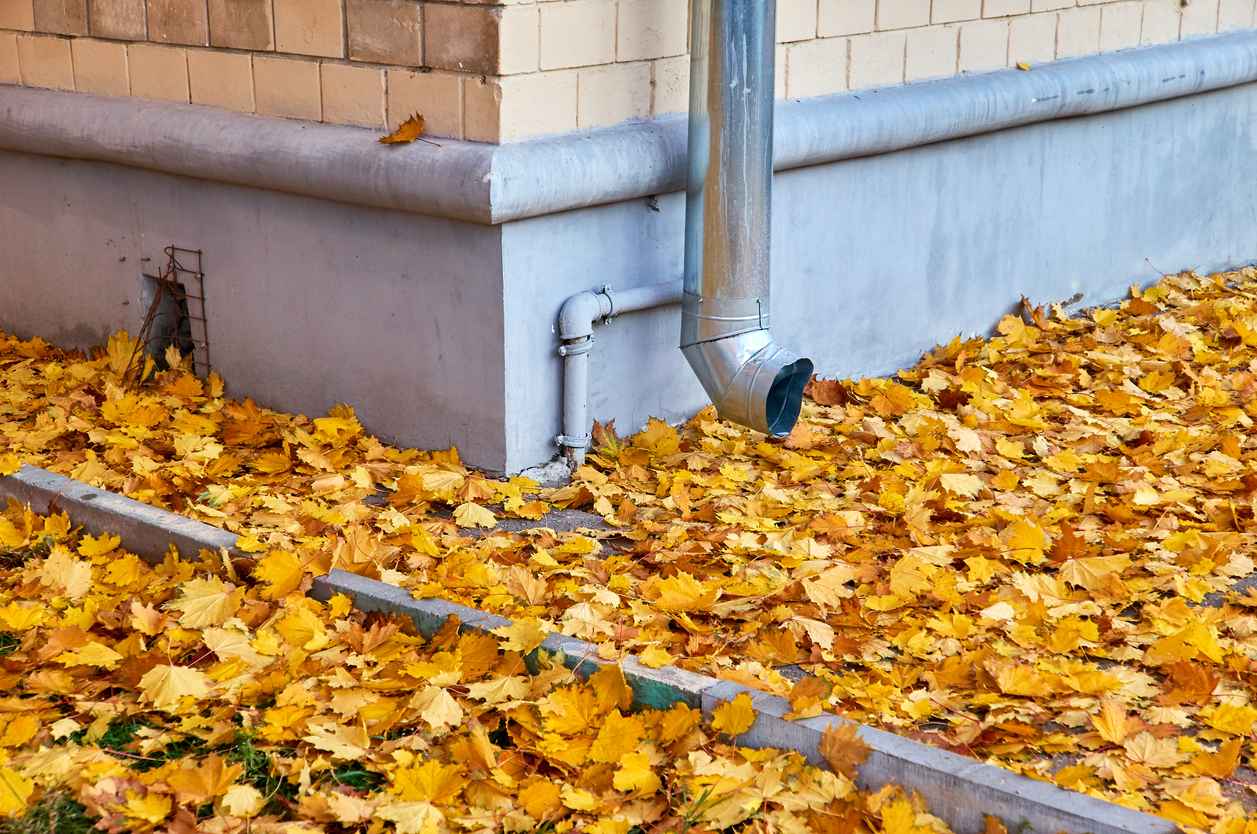 10 Essential Tips for Fall Plumbing Preparation Before Winter